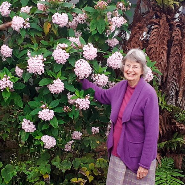 Celebrating Denise – healthy living tips from her wellness journey ...