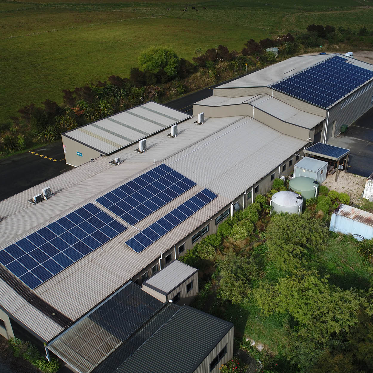 Powered by sunshine: our solar upgrade & sustainability milestones ...